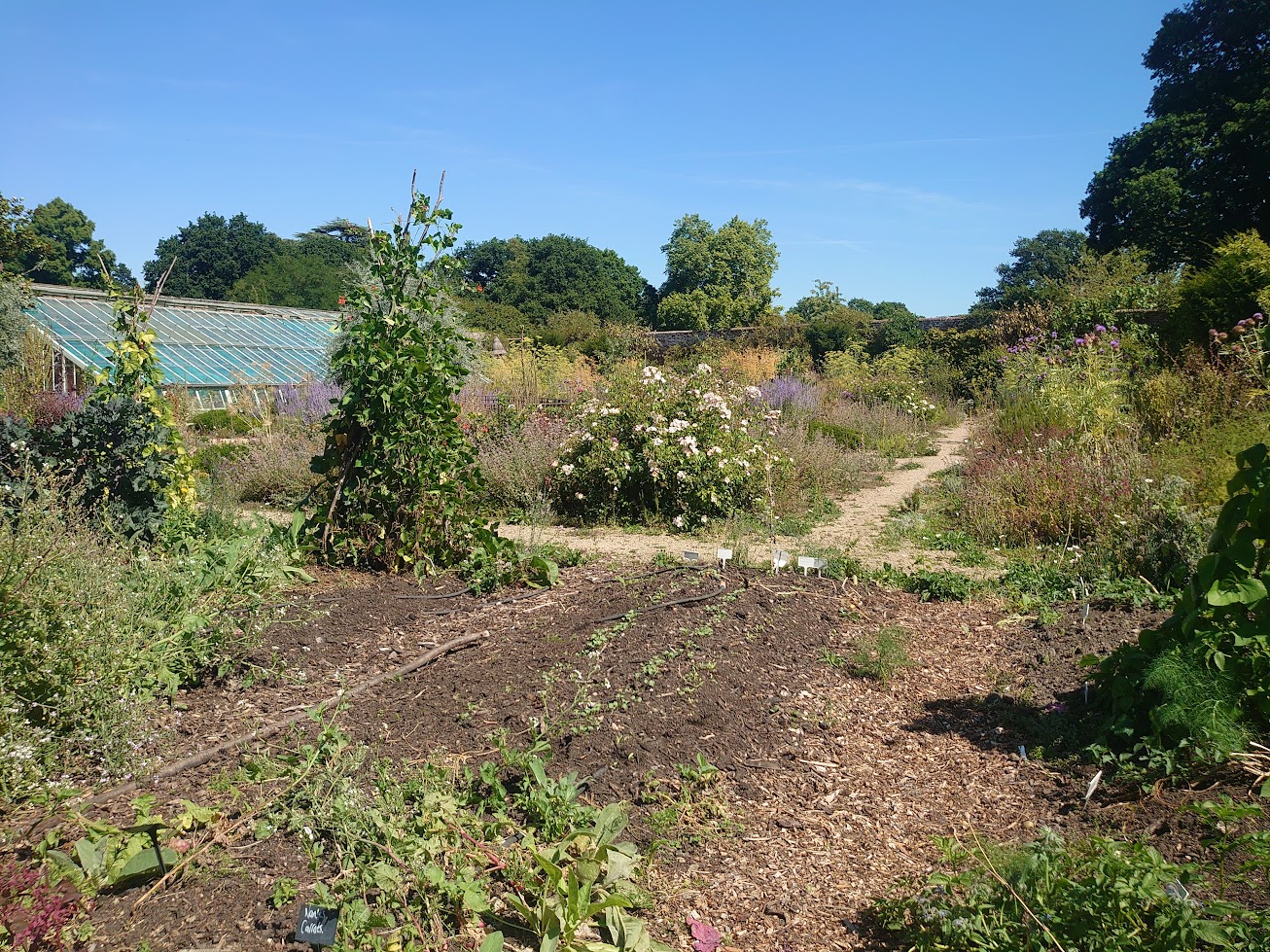 Rewilding the garden - Knepp style - Sally Morgan - Living on one acre or less