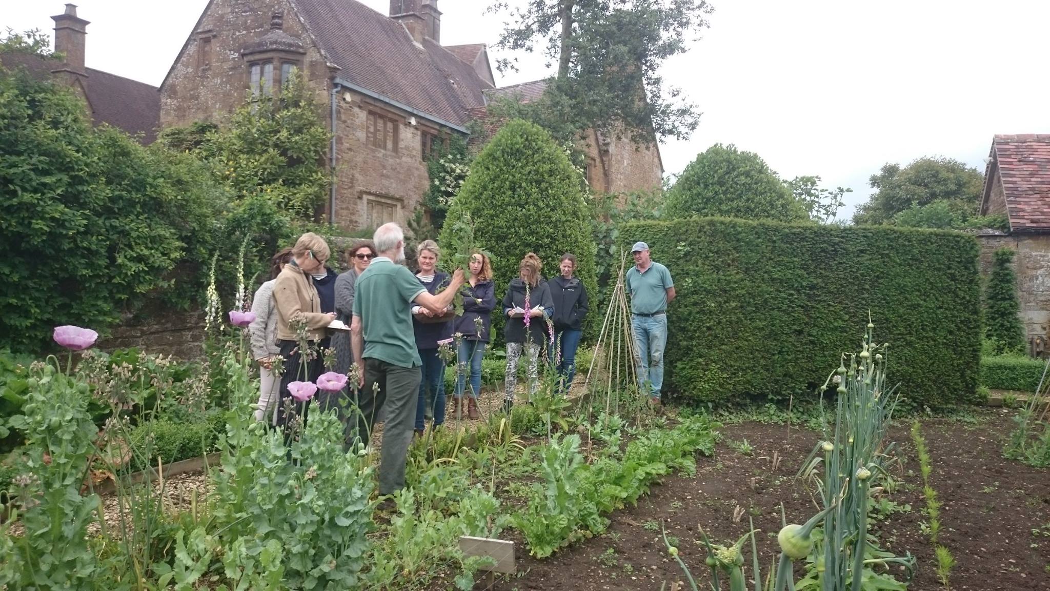 Edible perennials with Stephen Barstow - Sally Morgan - Living on one ...